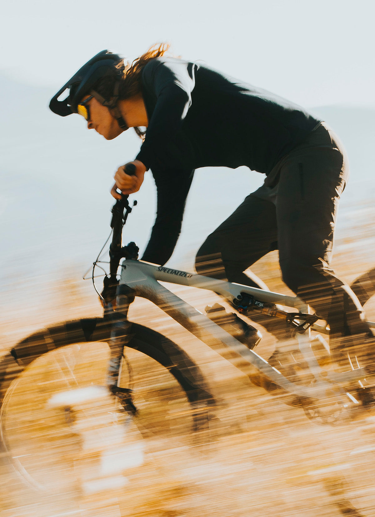 MEC Bikes Mt Eden | Specialized Retail Bicycles New Zealand