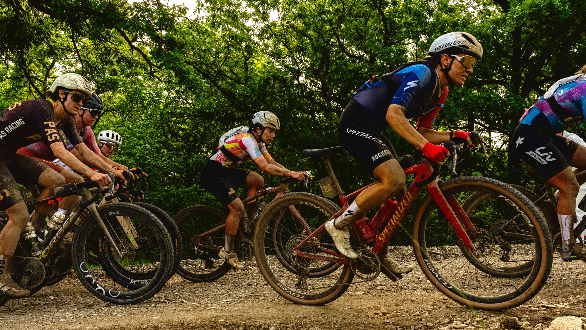 MEC Bikes Mt Eden | Specialized Retail Bicycles New Zealand ...